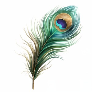 Feather Clipart, Peacock Feather Images, 10 Watercolor Clip Art ...