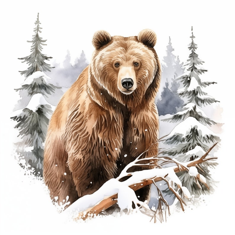 13 Brown Bear, Bear in Winter Clipart, Watercolor Clipart, High Quality ...