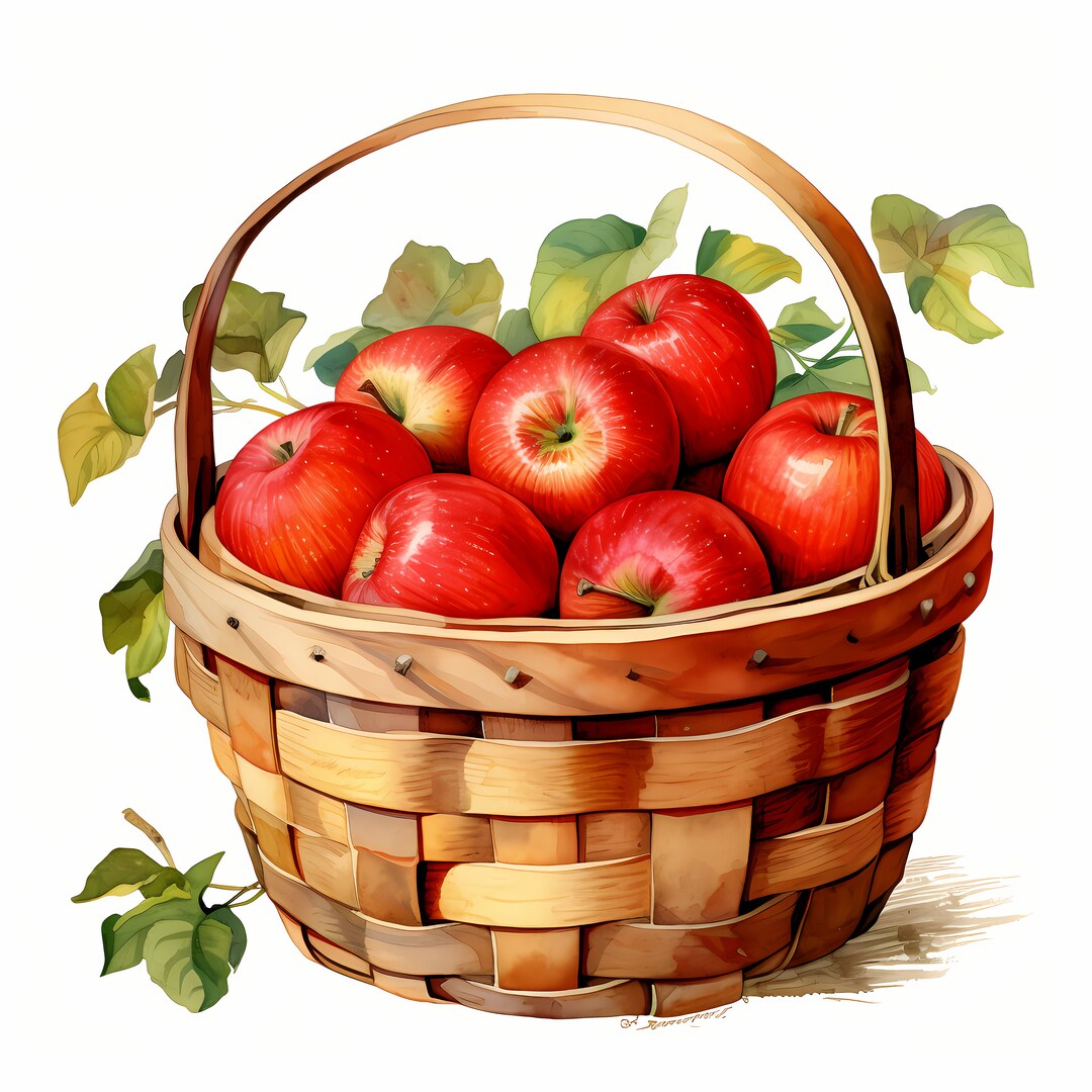 Watercolor Apple Basket Clipart: Harvest Fruit Images (jpgs, Commercial ...