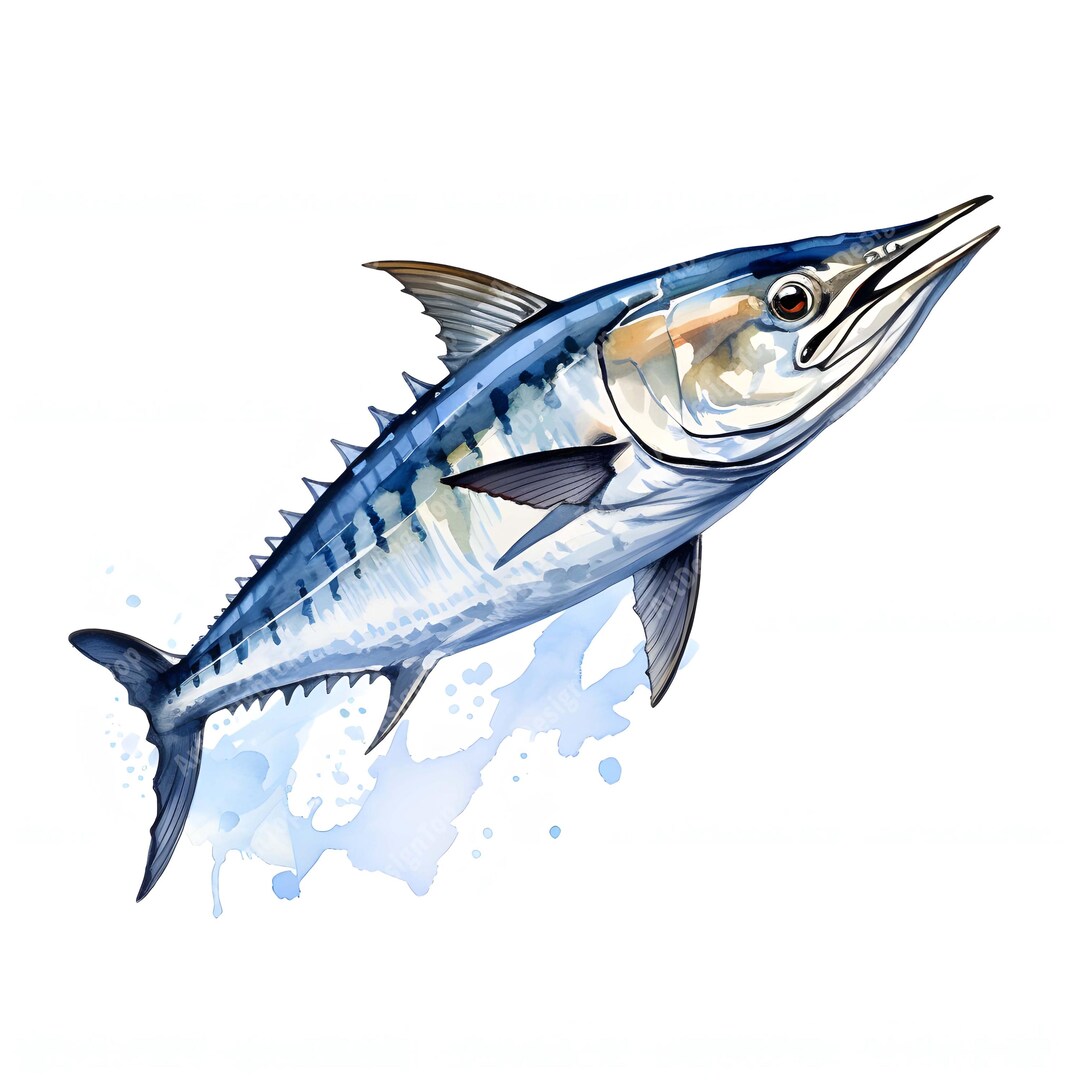 Watercolor Wahoo Fish Clipart: Ocean Art, Commercial Use Jpgs (instant ...