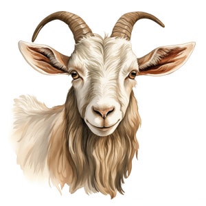 Goat Clipart, Farmyard Goat Images, 13 Watercolor Clip Art, Printable ...