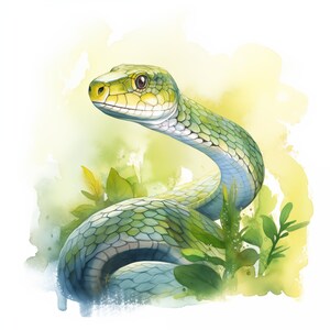 Watercolor Snake Clipart: Reptile Images, Commercial Use (jpgs) - Etsy