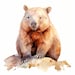 Watercolor Wombat Clipart: 10 JPG Images, Commercial Use (instant ...