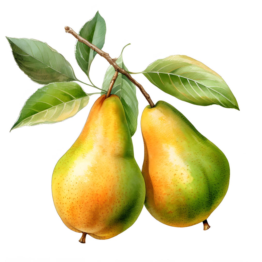 Pears Clipart, Pear Fruits Images, 10 Watercolor Clip Art, Printable ...