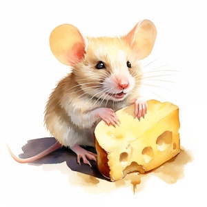 Mouse With Cheese Clipart, Mouse Eating Cheese Images, 10 Watercolor ...
