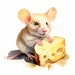 10 Mouse With Cheese, Mouse Eating Cheese JPG, Watercolor Clipart ...