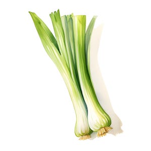 Leek Clipart, Garden Leek Images, 10 Watercolor Clip Art, Printable ...
