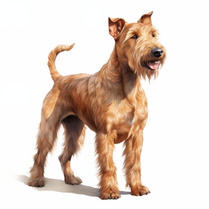 Irish Terrier Clipart, Irish Dog Images, 10 Watercolor Clip Art ...