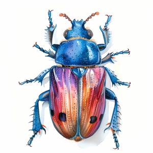 Bugs Clipart, Insects Images, 10 Watercolor Clip Art, Printable Jpgs ...