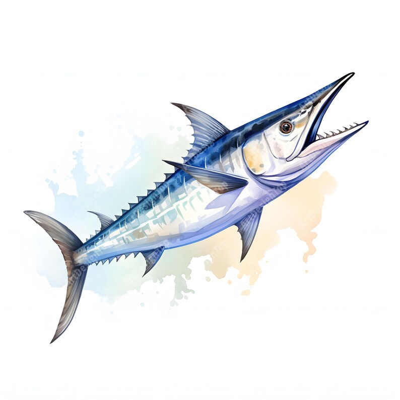 Watercolor Wahoo Fish Clipart: Ocean Art, Commercial Use Jpgs (instant ...