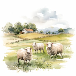 Sheep Clipart, Farmyard Sheep Images, 12 Watercolor Clip Art, Printable ...
