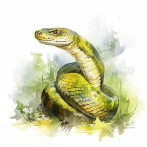 Watercolor Snake Clipart: Reptile Images, Commercial Use (jpgs) - Etsy
