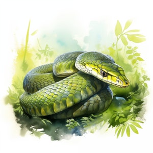 Watercolor Snake Clipart: Reptile Images, Commercial Use (jpgs) - Etsy