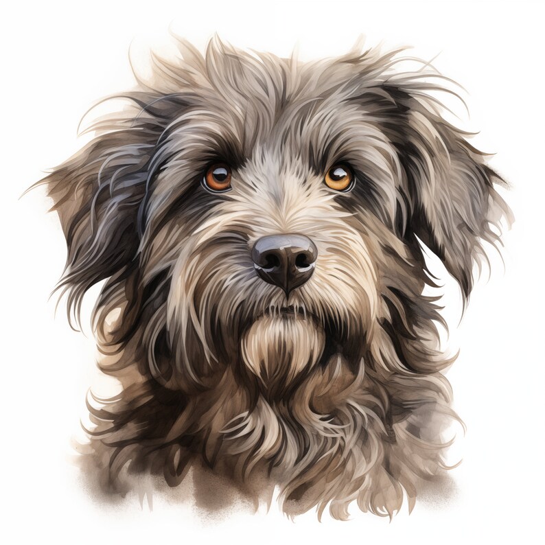 10 Bergamasco Shepherd, Puppy Dog Clipart, Bergamasco Shepherd JPG ...