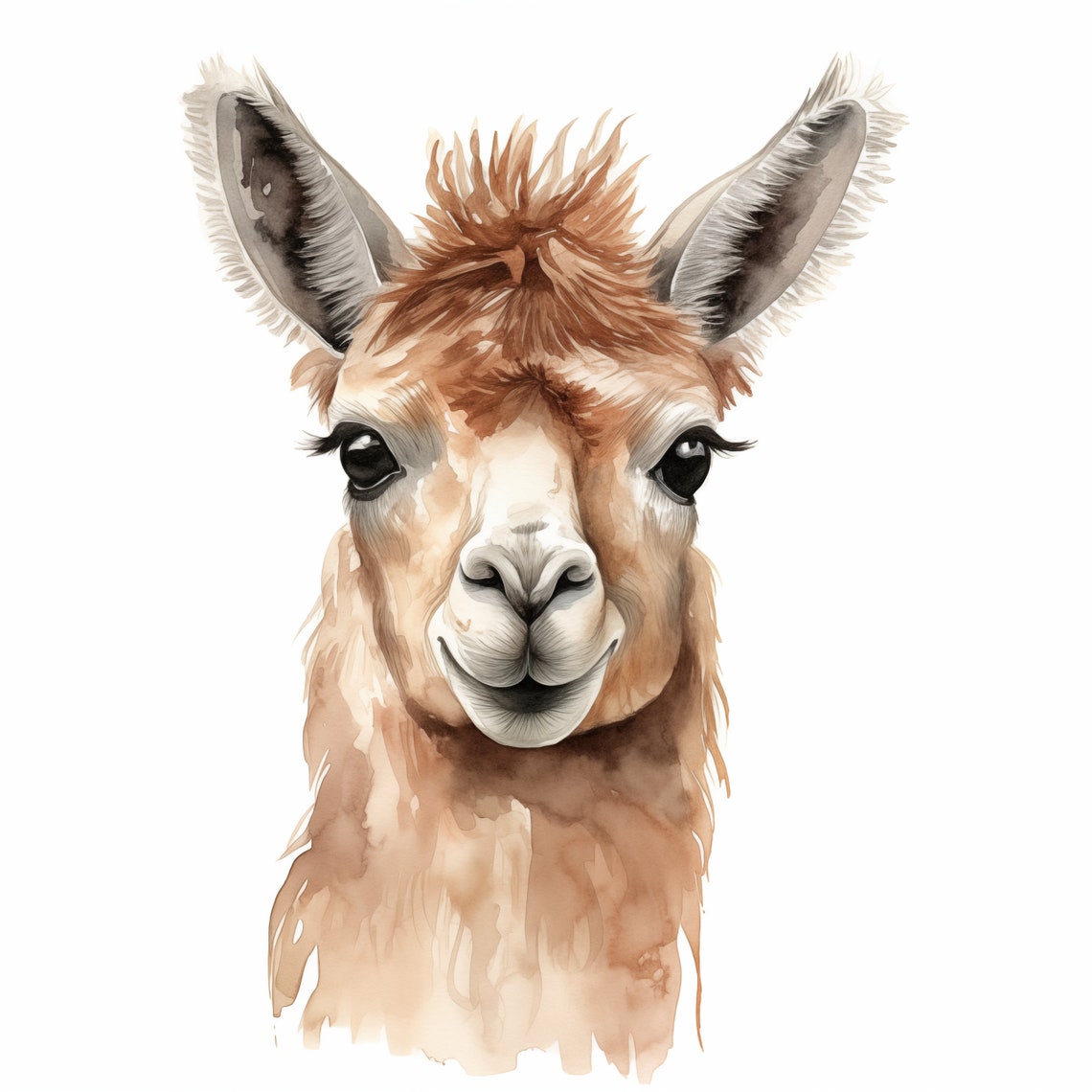 Watercolor Llama Clipart: Printable JPG Images, Commercial Use (digital ...