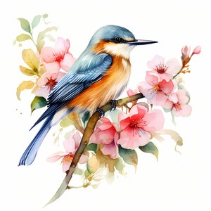 Bird With Flowers Clipart, Floral Birds Images, 10 Watercolor Clip Art ...