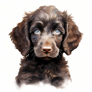Irish Water Spaniel Clipart, Puppy Dog Images, 10 Watercolor Clip Art ...