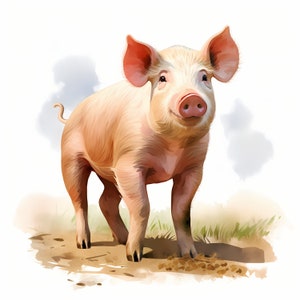 Farmyard Pig Clipart, Farm Pig Images, 10 Watercolor Clip Art ...