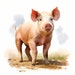Farmyard Pig Clipart, Farm Pig Images, 10 Watercolor Clip Art ...