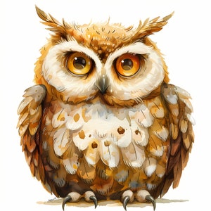 Quirky Owl Clipart, Whimsical Owls Images, 10 Watercolor Clip Art ...