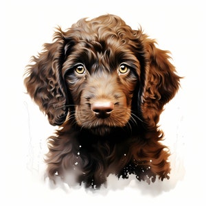 Irish Water Spaniel Clipart, Puppy Dog Images, 10 Watercolor Clip Art ...