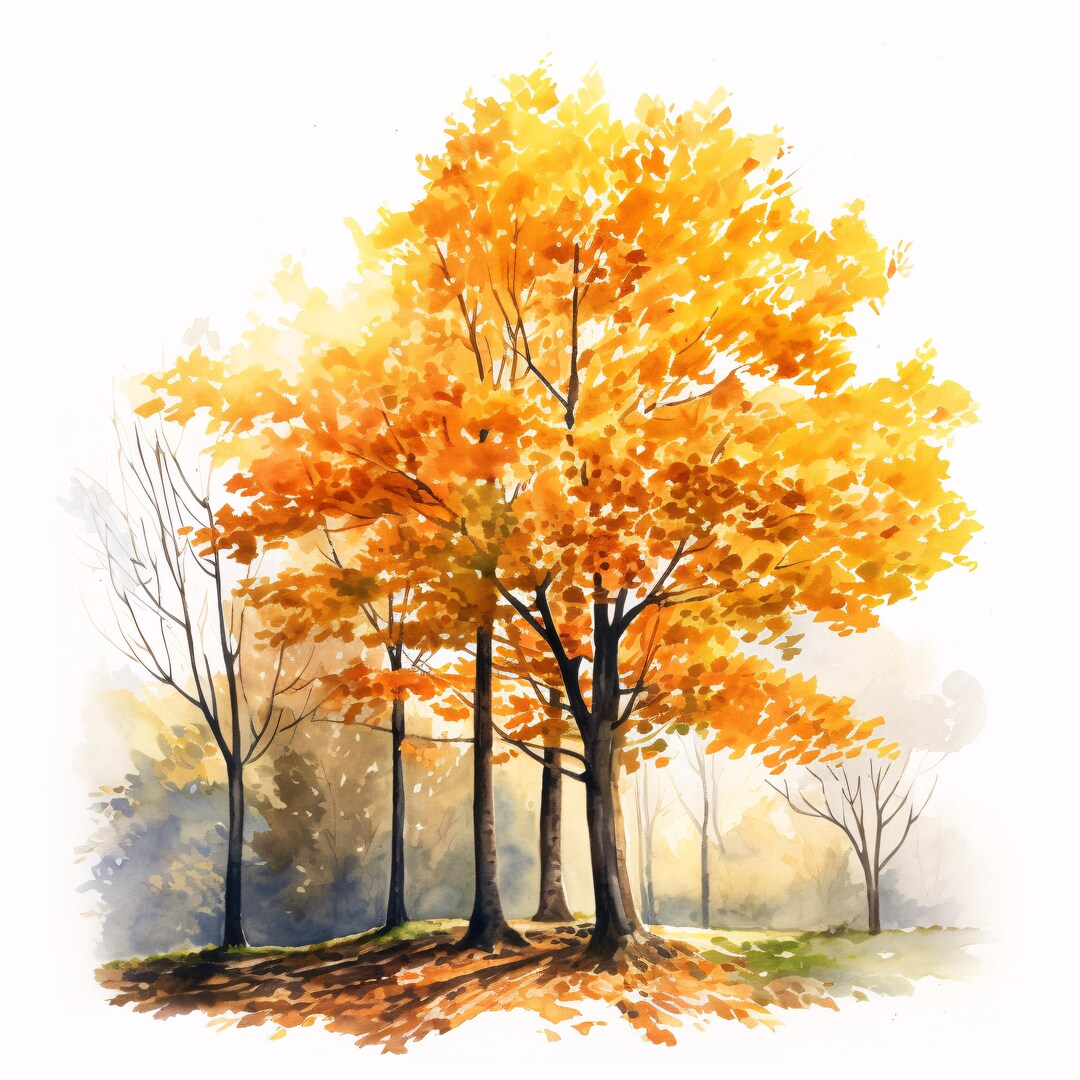 Autumn Trees Clipart, Autumn Trees Images, 10 Watercolor Clip Art ...