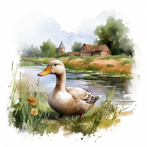 Duck Clipart, Farm Duck Images, 15 Watercolor Clip Art, Printable Jpgs ...