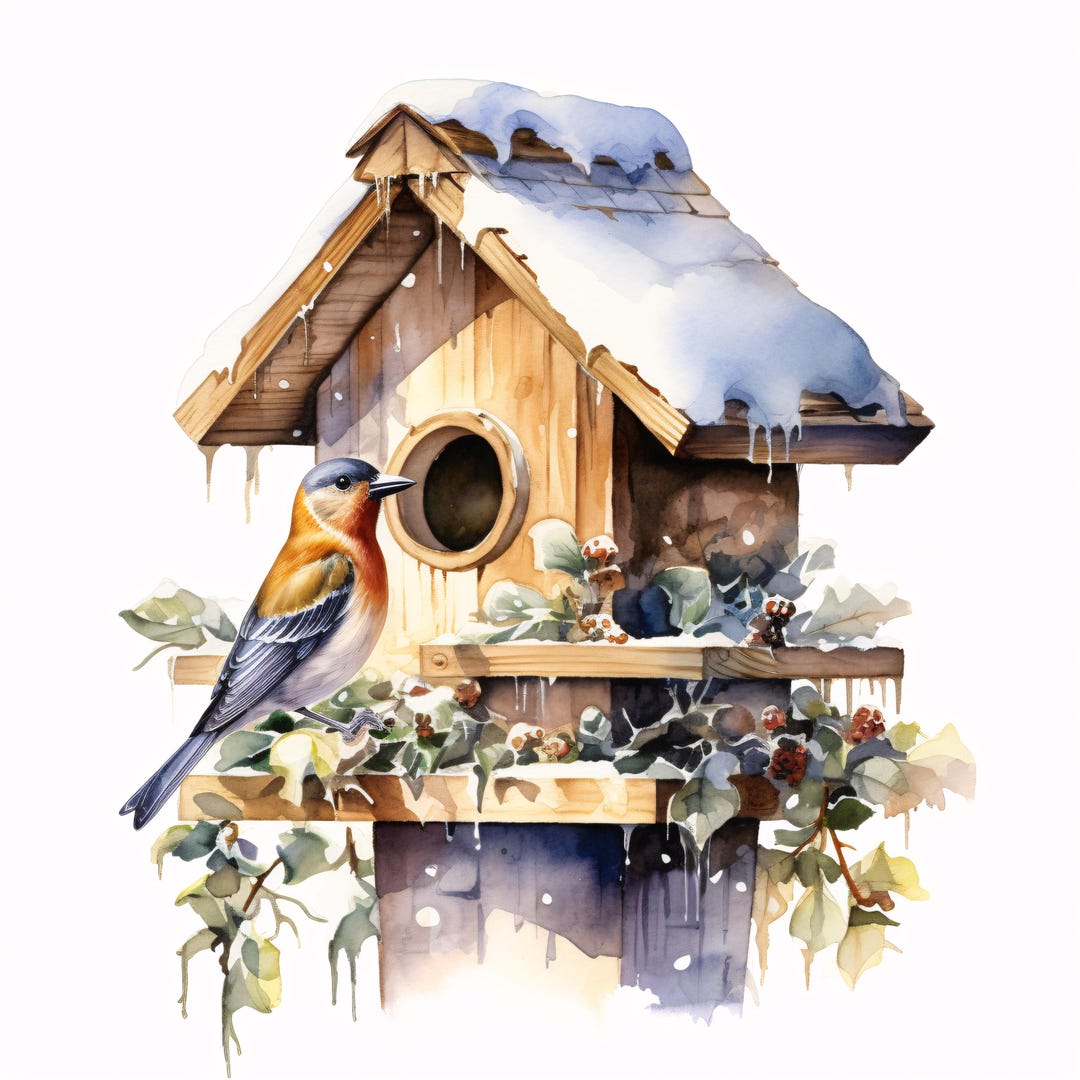 Winter Birdhouse Clipart, Snow Bird Images, 10 Watercolor Clip Art ...