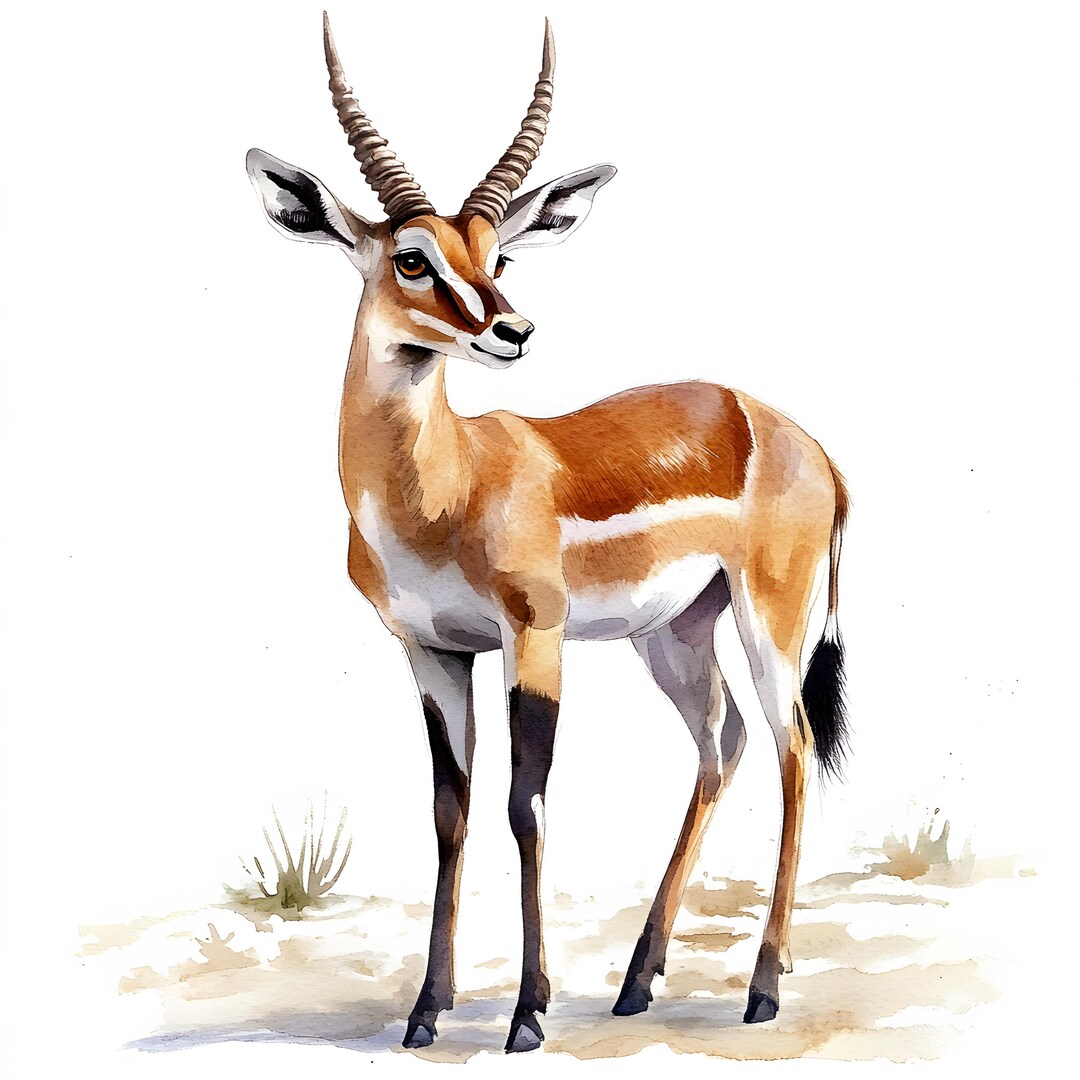 Antelope Clipart, Kudu Antelope Images, 10 Watercolor Clip Art ...