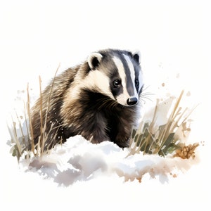 Snowy Badger Clipart, Winter Badgers Images, 10 Watercolor Clip Art ...