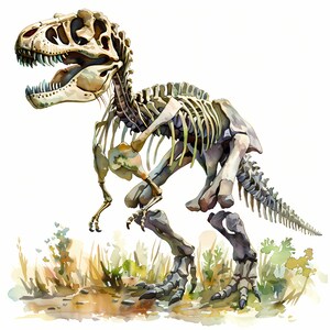 T-rex Skeleton Clipart, Dinosaur Bones Images, 10 Watercolor Clip Art ...
