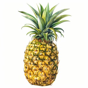 Pineapple Clipart, Pineapples Images, 10 Watercolor Clip Art, Printable ...
