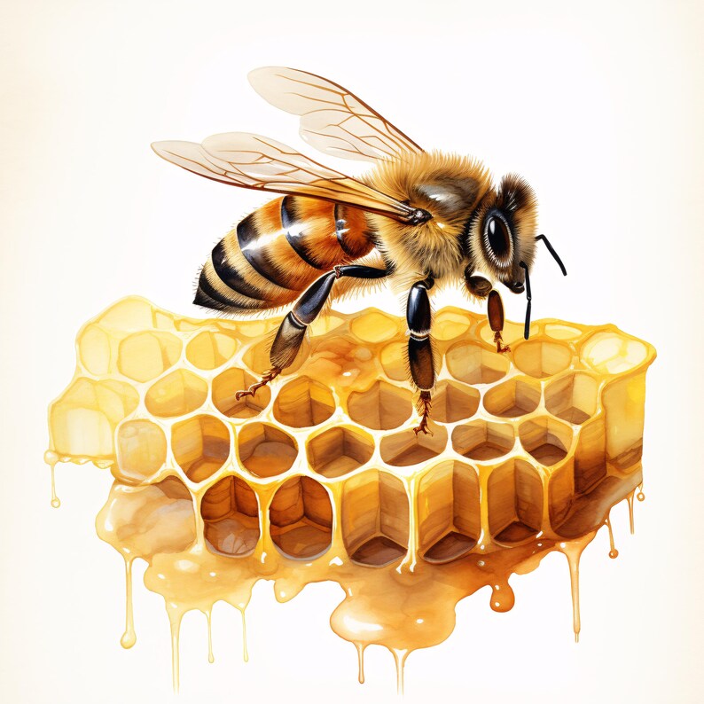 Honey Bee Clipart, Beehive Honeycomb Images, 10 Watercolor Clip Art ...