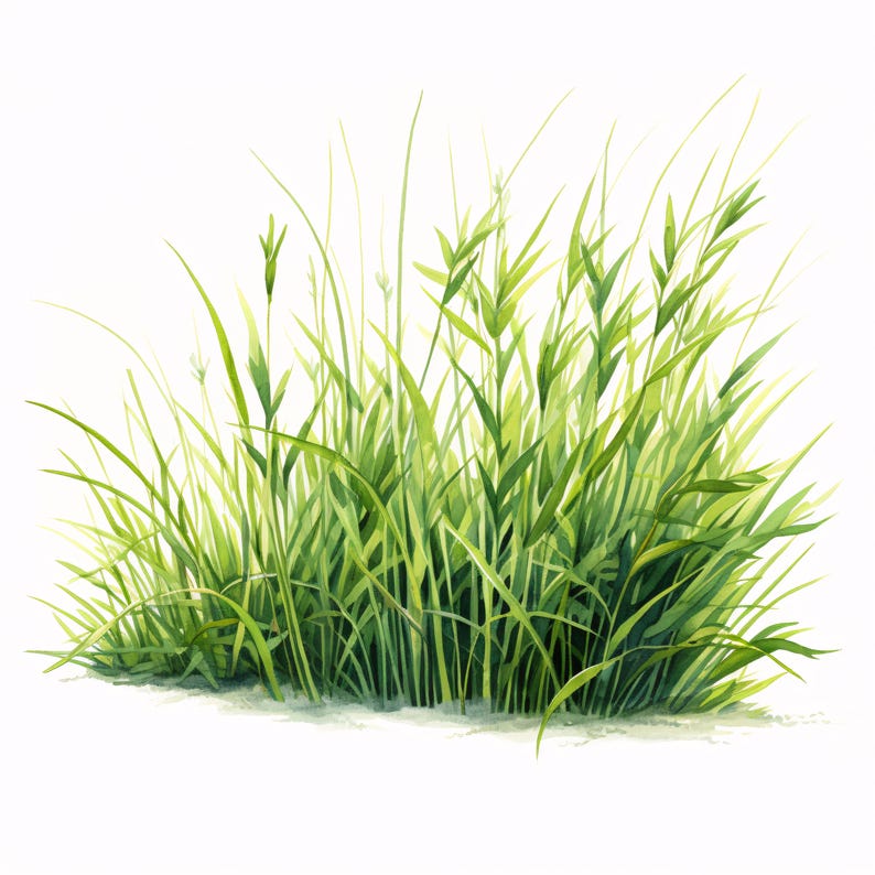 Green Grass Clipart, Lawn and Nature Images, 10 Watercolor Clip Art ...