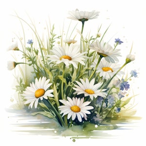 Watercolor Daisy Clipart: Floral JPG Images (commercial Use) - Etsy