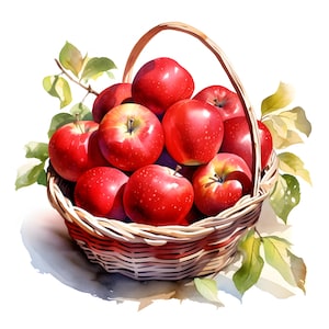 Red Apples Clipart, Apples in Basket Images, 10 Watercolor Clip Art ...