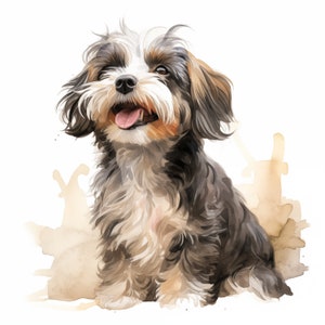 Lowchen Clipart, Little Lion Dog Images, 10 Watercolor Clip Art ...