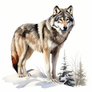 Winter Wolf Clipart, Wolves in Winter Images, 10 Watercolor Clip Art ...
