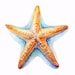 Starfish Clipart, Ocean Sea Life Images, 10 Watercolor Clip Art ...
