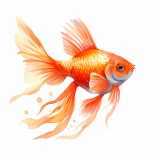Aquarium Fish Clipart, Goldfish Images, 10 Watercolor Clip Art ...