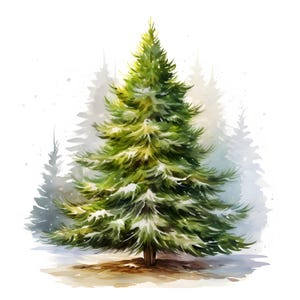 Christmas Tree Clipart, Snowy Pine Images, 10 Watercolor Clip Art ...