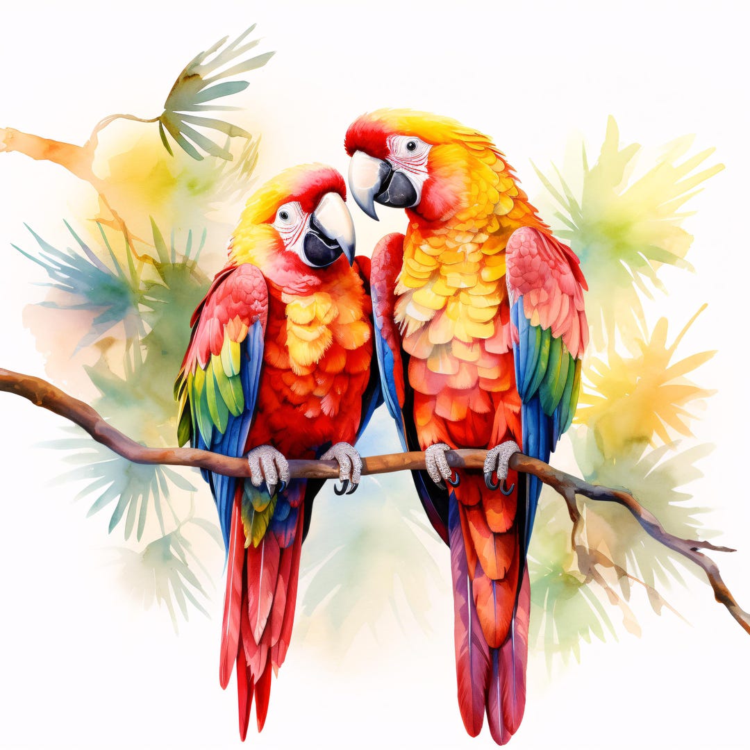 Parrot Couple Clipart, Tropical Bird Images, 10 Watercolor Clip Art ...