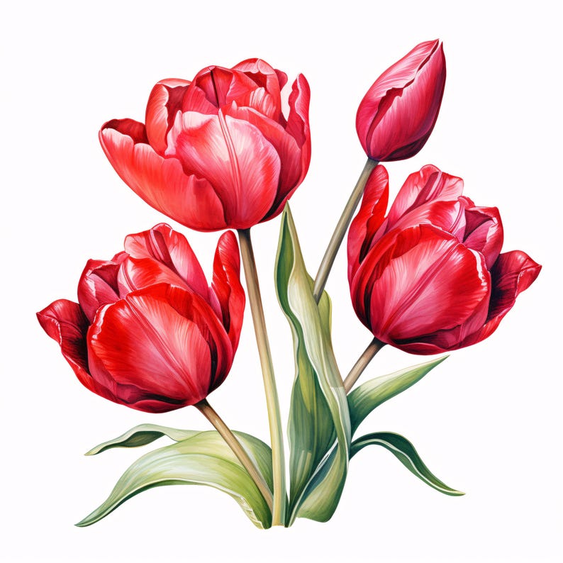 Red Tulip Flowers Clipart, Spring Floral Images, 10 Watercolor Clip Art ...