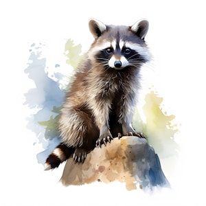 Watercolor Raccoon Clipart: Forest Animal Images (JPG, Commercial Use ...