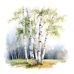 Watercolor Birch Forest Clipart: Printable JPG Images (commercial Use ...