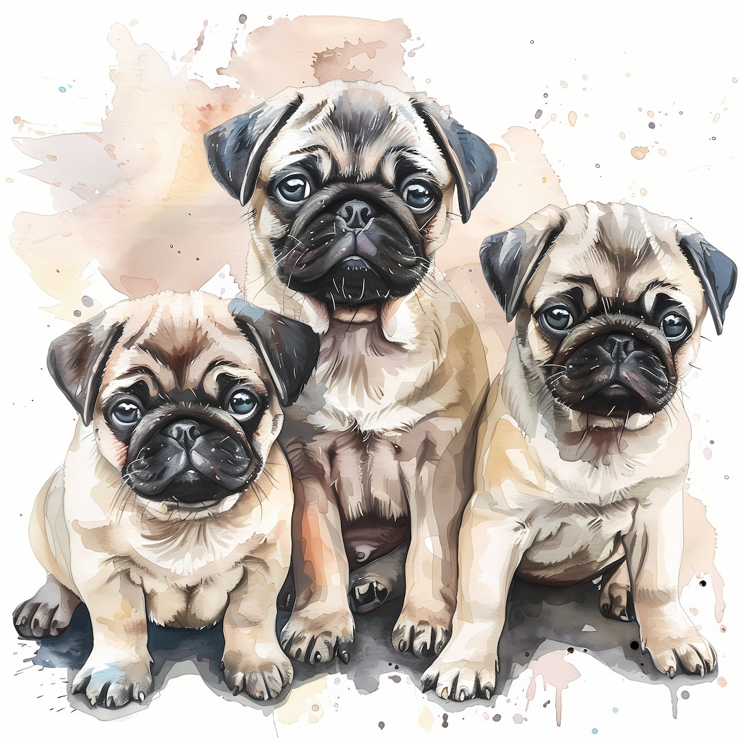 Pug Puppies Clipart, Pug Dogs Images, 10 Watercolor Clip Art, Printable ...