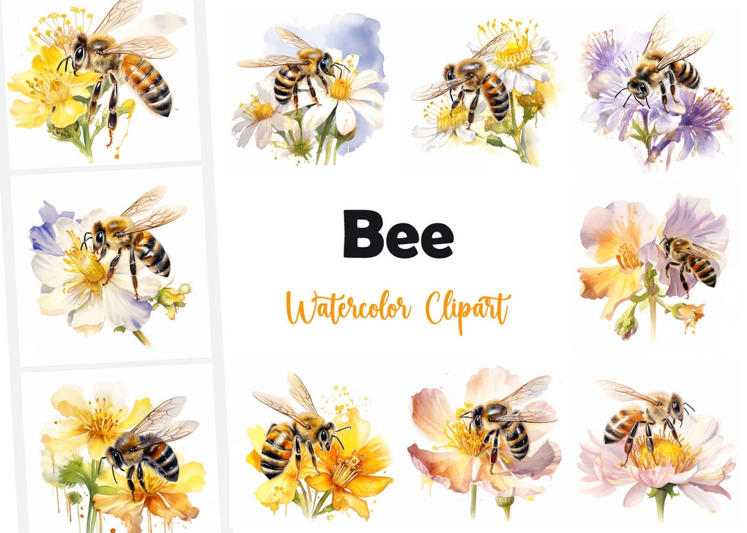 10 Bee With Flowers Clipart, Bee With Flower JPG, Watercolor Clipart ...
