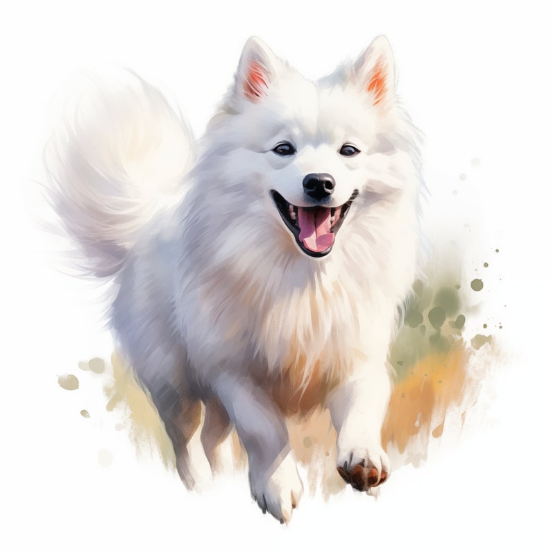 Japanese Spitz Clipart, Japanese Dog Images, 10 Watercolor Clip Art ...