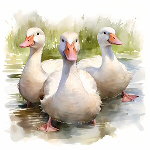 Goose Clipart, Farm Geese Images, 10 Watercolor Clip Art, Printable ...