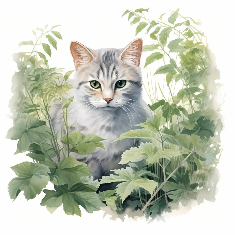 Cat in Plants, Cute Kitten, Garden Cat Watercolor Clipart Set With 10 ...